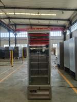 China Single Anti-fog Glass Door Upright Freezer Commercial Display Freezer for Retail for sale