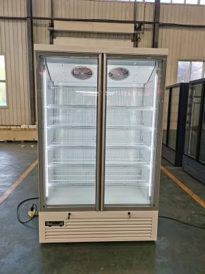 China 2 Door Upright Freezer Commercial Glass Door Display Freezer for Supermarket Plug-in R290 for sale