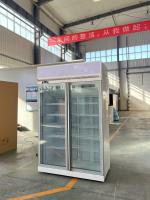 China Double Glass Door Freezer Commercial Display Freezer with Inner Led Lights for Supermarket for sale