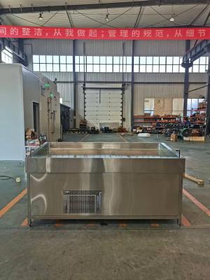 China Commercial Fish Display Refrigerator Counter with SUS304 Cold Plate and Drainage FISH200 for sale