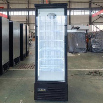 China MAXIMA 1D Single Door Frameless Double‑Glazed Refrigerated Showcase for sale