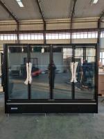 China Upright Glass Door Freezer with 2620mm Wide Frontage and Triple Anti Fog Glass ELF250GF for sale
