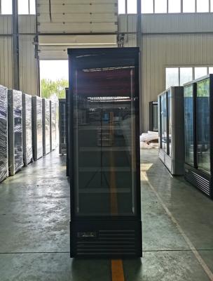 China Compact Plug In Upright Glass Door Fridge with Vertical LED Lighting MAXIMA1DR for sale