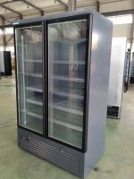 China Commercial Upright Glass Door Freezer with Anti Fog Doors and R290 Cooling MAXIMA2DF for sale