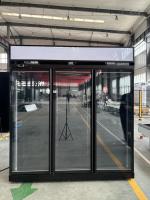 China Supermarket Upright Glass Door Freezer with Wide Anti-Fog Glass and LED Lighting TRIMA3DF for sale