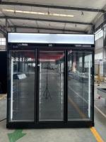 China Supermarket Upright Glass Door Freezer with Wide Anti-Fog Glass and LED Lighting TRIMA3DF for sale