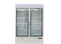 China Plug In 880L Glass Door Merchandiser Refrigerator for sale