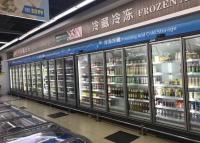 China Carel Thermostat Commercial Upright Freezer For Frozen Food for sale