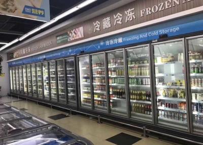 China Carel Thermostat Commercial Upright Freezer For Frozen Food for sale