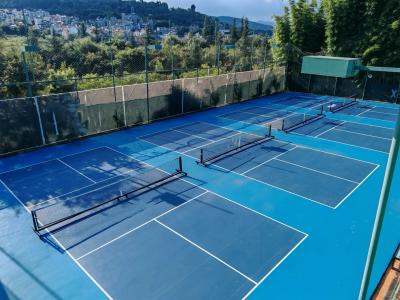 China Custom Pattern Waterproof Anti-Slip Pickleball Court Sports Floor for Indoor and Outdoor Use for sale