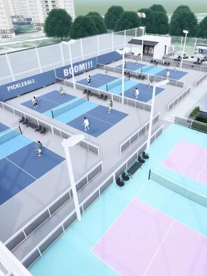 China High Wear-Resistant Anti-Slip Corrosion-Proof Pickleball Court for Indoor and Outdoor Sports for sale