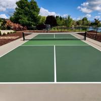 China Professional Durable Pickleball Court for Philippines Club Hotel Installation Supplier Custom Logo Pattern for sale