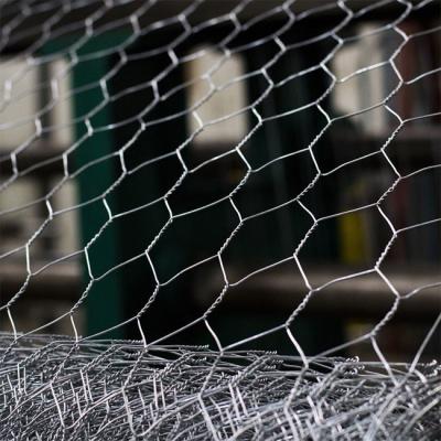China HDG Galvanised Metal Netting Mesh Hexagonal Chicken Wire 1/2