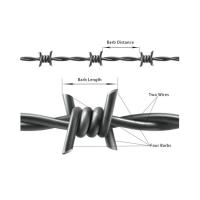 China 14x14 Gauge Metal Netting Mesh Hot Dipped Galvanized Barbed Wire Double Twisted for sale