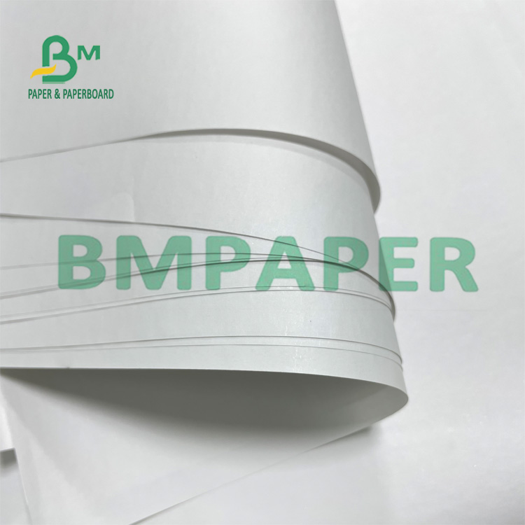48g Back Print Thermal BPA-Free Paper Rolls For Small Ticket