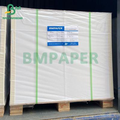China 200g 210g Food Grade Cup Stock Paper Board ,  Uncoated Base Paper Waterproof for sale