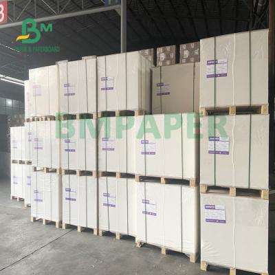 China 230gsm + 18gsm Cup Stock Paper Board Safe No Smell Specialty For Noodle Bowls for sale