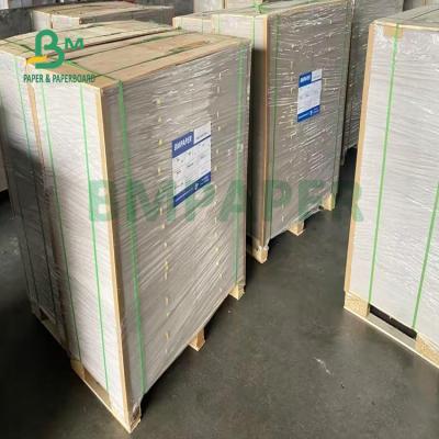 China 1600gsm Gloss Finish 2 Side Grey Back Straw Board 508mm X 860mm for sale