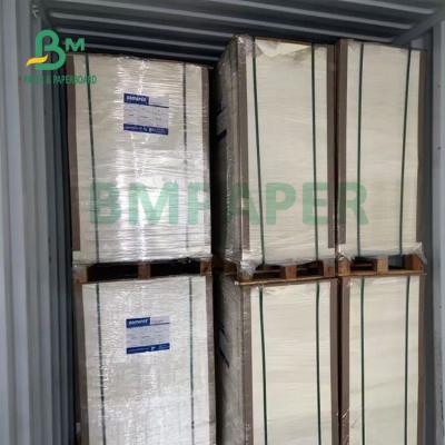 China 230gsm+15gsm Durability PE Coated Cup Stock Paper For Soup Bowl 560mm X 700mm for sale