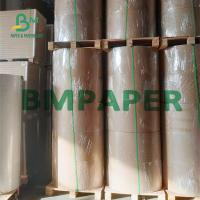 China 300gsm 320gsm PE Coated Cup Raw Material Paper Roll For Hot Tea for sale