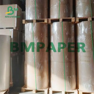 China 300gsm 320gsm PE Coated Cup Raw Material Paper Roll For Hot Tea for sale