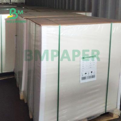China 270gsm Coated White Top Kraft Back Paper Board For Take Away Boxes Food Safe for sale