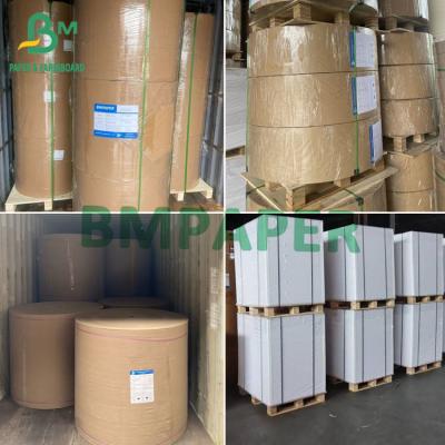 China 35gsm 40gsm Oil Protection Paper White Greaseproof Paper In Reels Customized Size For Food Wrapper for sale