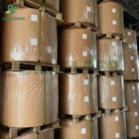 China 130g 300g Natural Sugarcane Bagasse Pulp Paper For Food Plates Rolls biodegradable Paperboard for sale