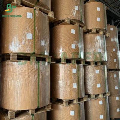 China 130g 300g Natural Sugarcane Bagasse Pulp Paper For Food Plates Rolls biodegradable Paperboard for sale