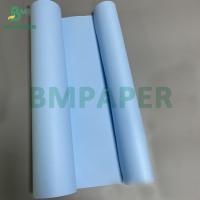 China 80g Double Sides Blue Plotter Paper CAD Printer Rolls 20