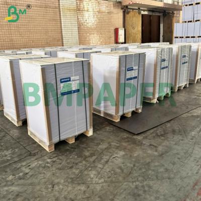 China Liquid - Resistant White Bowl Paper With Polyethylene Coating One Side for sale