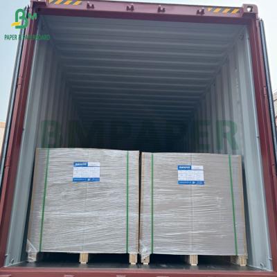 China 450gsm 400gsm C1S Clay-Coated Paper With Grey Back 22