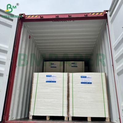 China 240g +15PE Coated 1 Side Cupstock Paper For Drink Cups 31 x 43inch Waterproof 100% for sale