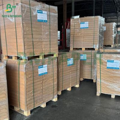 China 50g 55g Translucent Tracing Paper Plotter Paper 31