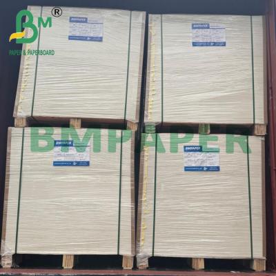 China 40gsm Heat Resistant Greaseproof Paper For Bakery Bag 70 X 100cm for sale