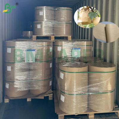 China 55g 80g Brown Kraft Fruit Bagging Paper UV & Pest Protection For Peaches/Pears for sale