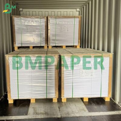China Porous Creped White Filter Base Paper for Basket and Cone shaped Filters for sale
