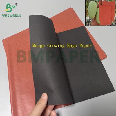 China 56gsm 380mm 400mm Pest Prevention Mango Growing Bags Paper To Fruit Protect Bags for sale