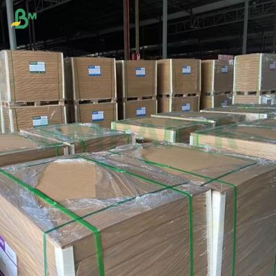 China 260GSM+ 18GSM FDA Degradable Bamboo Kraft Paper With PE / PLA Coated Cup Stock Paper for sale
