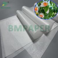 China 27gsm 30gsm Waterproof White Peach Growing Bags Paper 700mm  800mm for sale