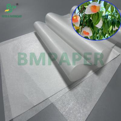 China 27gsm 30gsm Waterproof White Peach Growing Bags Paper 700mm  800mm for sale