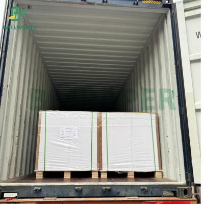 China 40gsm 50gsm Wax Coating 1 Side Oil Resistant Paper for Food Wrapping 20
