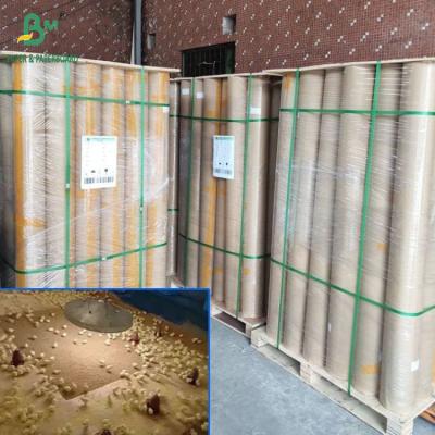 China 40gsm to 110gsm Borwn Absorbent Poultry Chick Paper In 34inch 36inch Wide for sale