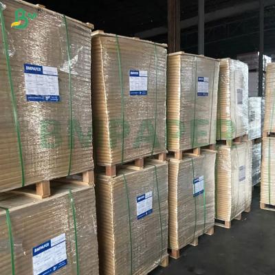 China Food Grade Double Side PE Coated Paper Bowl Base Paper 250–350gsm For Instant Noodle Bucket for sale