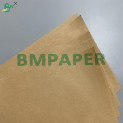 China Absorbent Biodegradable Paper 40gsm 50gsm Chick Attraction Feeding Paper for Poultry Farming and Brooder Houses for sale