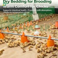 China Moisture-resistant Biodegradable Poultry Bedding Paper For Chick for sale