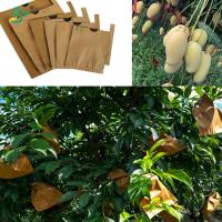 China 56g Yellow Outer Glossy Matte Black Inner Mango Fruit Bag Paper Roll for sale
