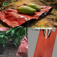 China Waterproof Anti-pest Mango Cultivation Bag Paper 56gsm Red Anti Sunburn for sale