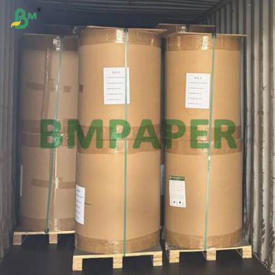 China 19g 20g 23g 25g Grease Proof Onionskin Tortilla Wrapping Separator Paper for sale