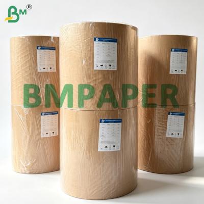 China Tortilla Wrap Paper With High Wet Strength, 25gsm 30gsm & 36in Rolls for sale